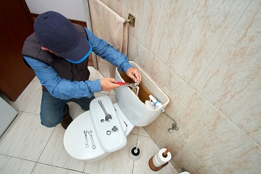 How to Fix a Toilet That Won't Flush|ToiletBloom
