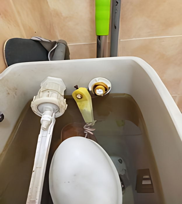 How to Fix Broken Toilet Flash Handle |ToiletBloom